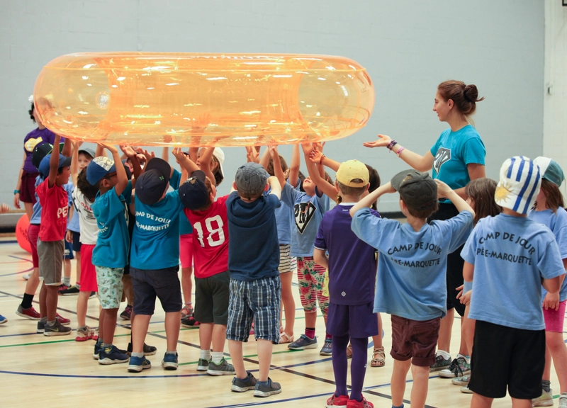 Activités - Solution Animation